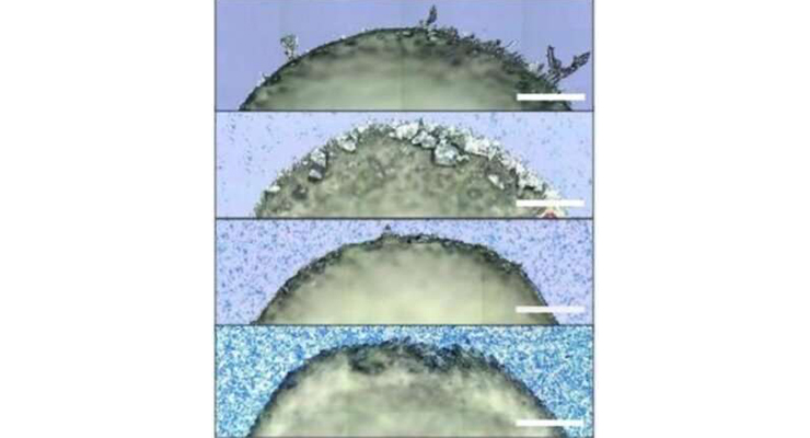 Graphene Additives Show New Way to Control Structure of Organic ...